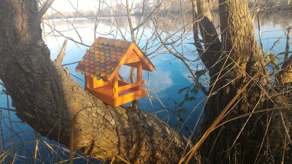 De ce ai nevoie de casute de pasari in gradina ta? – Vremuri Bune
